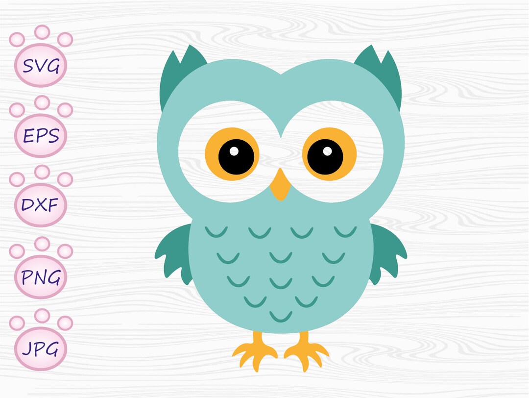 Baby Owl SVG - Etsy