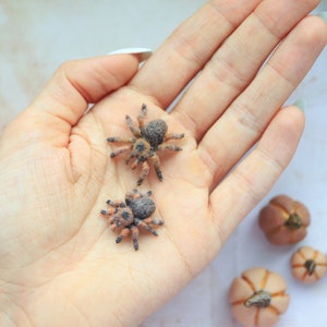 Crochet Tarantula Pattern Halloween Decor Amigurumi: Make Your Own ...