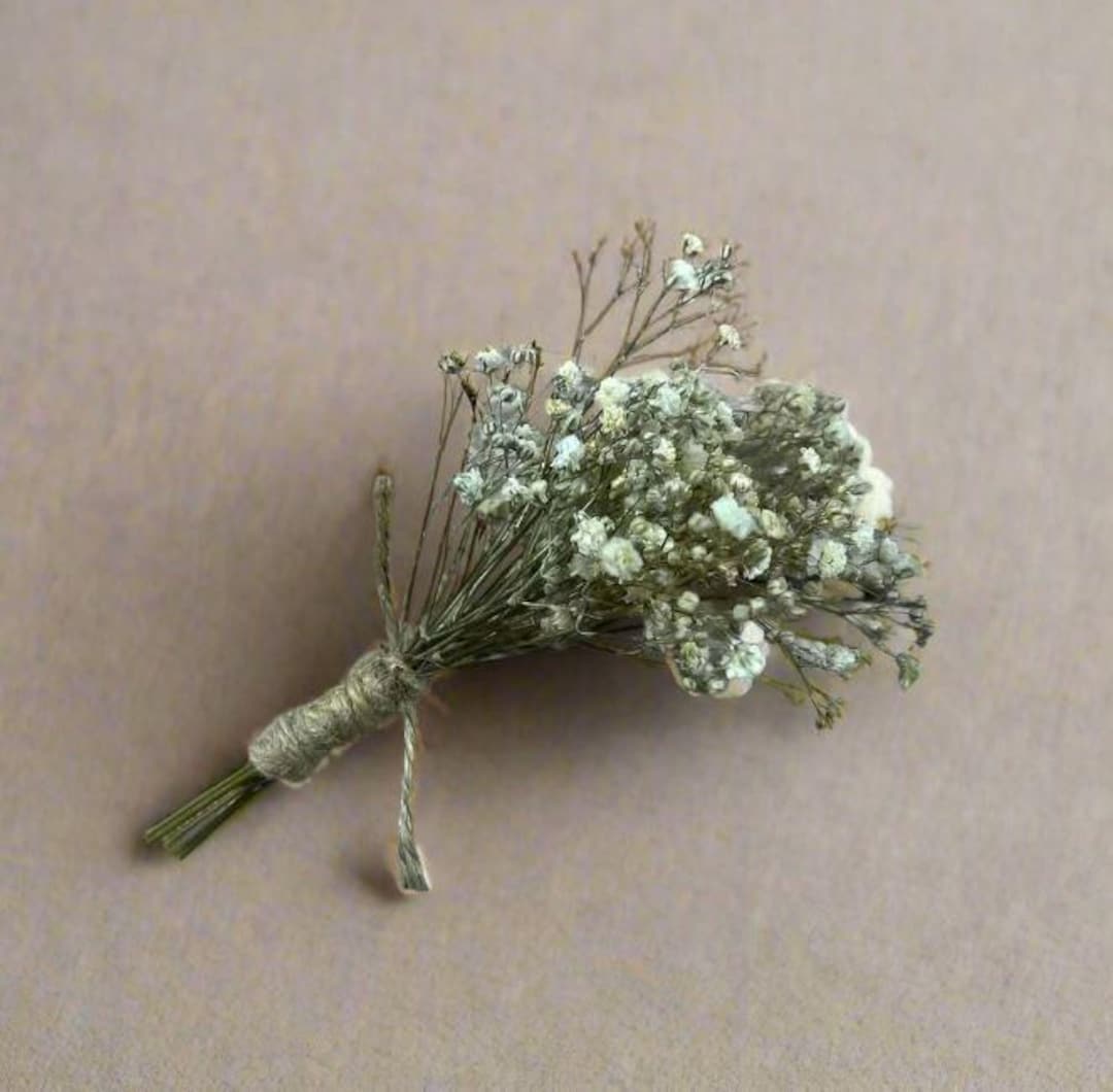 Dried Babys Breath Gyp Boutonniere Buttonhole - Dried Flowers for ...
