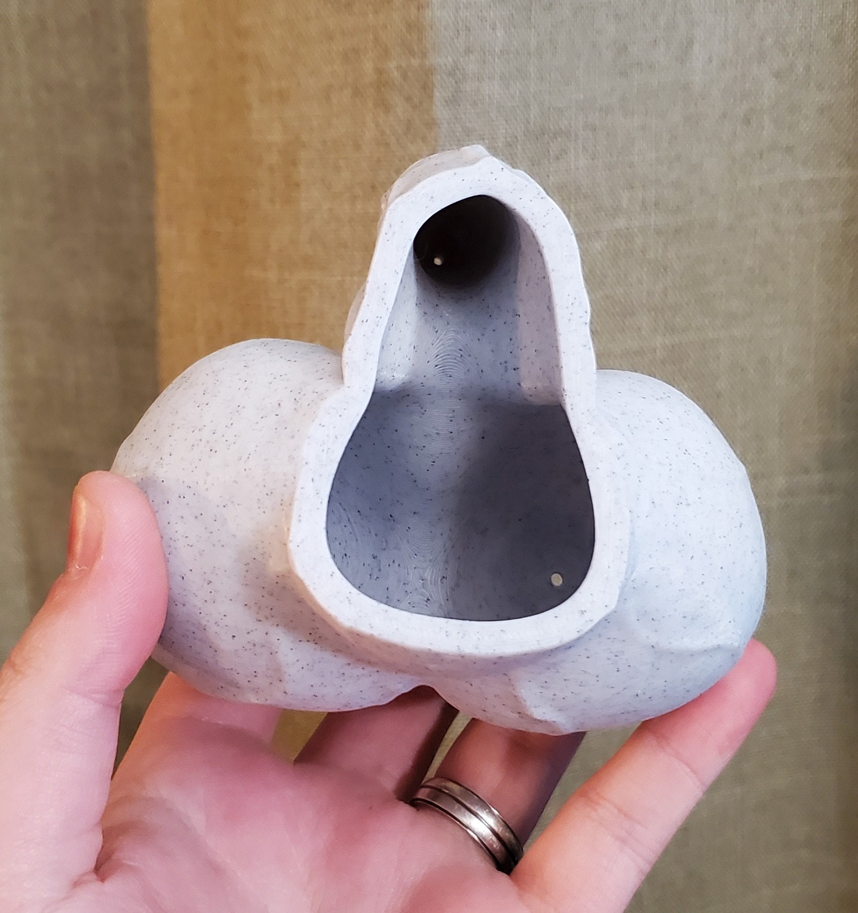 Male Organ Planter Pot - Etsy