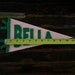 Personalized Name, Custom Dorm Room Pennant, Roommate, Dorm Decor ...