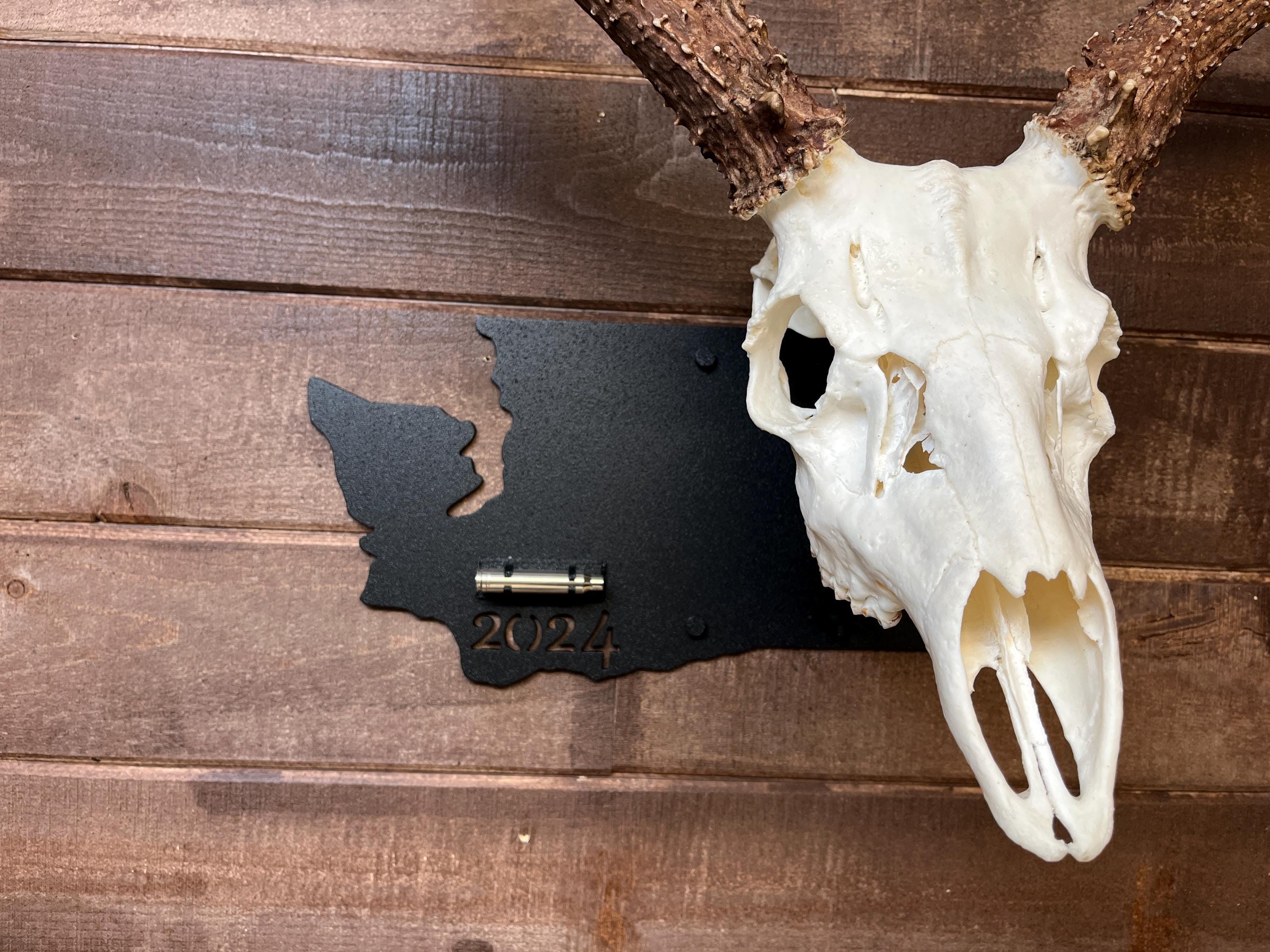 WA State Euro Mount Hanger | WASHINGTON | Blacktail Deer | Mule Deer ...