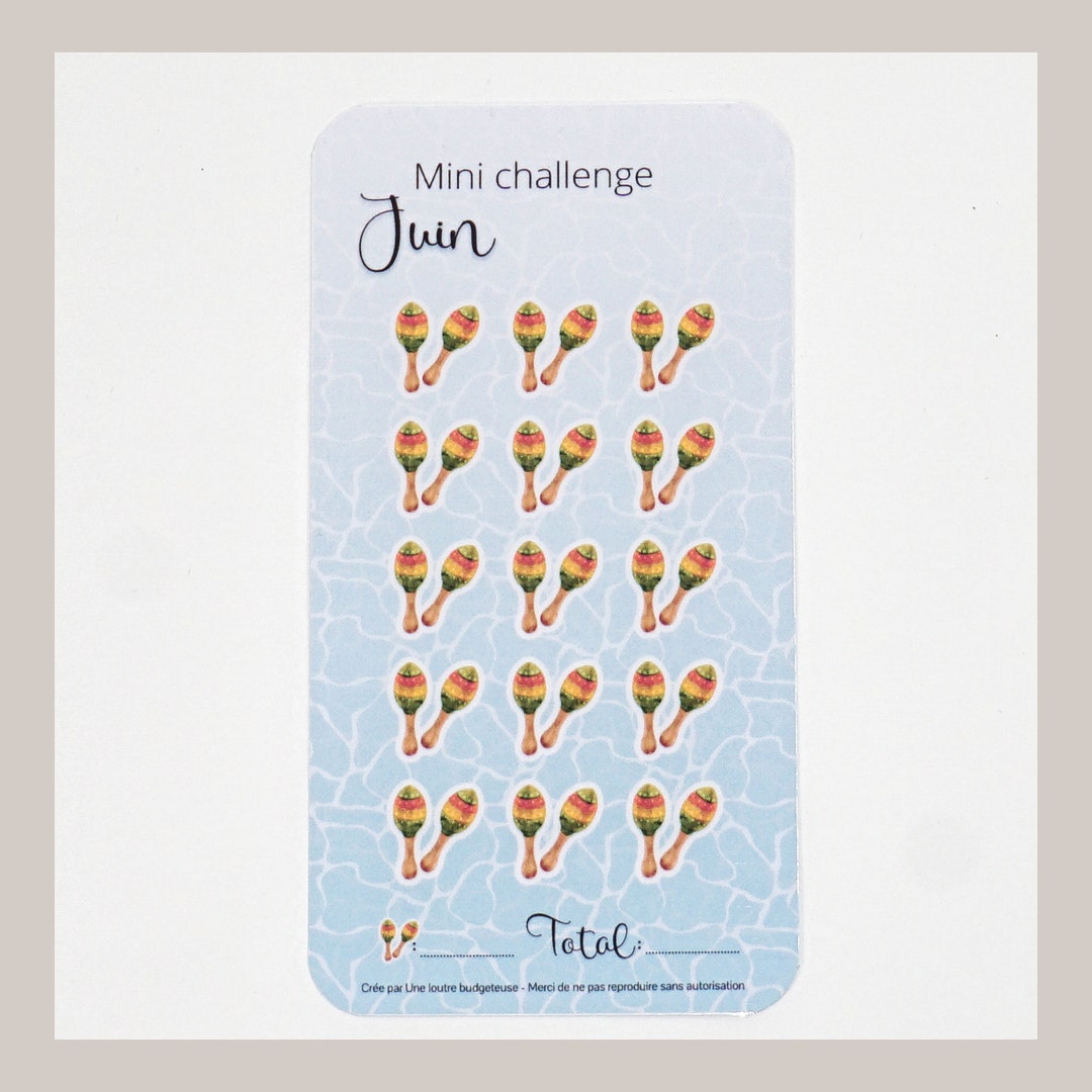 MINI CHALLENGE/DEFI Budget Envelopes Month of June // Laminated Sheet ...
