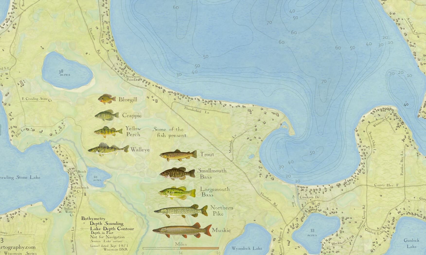 Fence Lake | Vilas County | Wisconsin | Vintage Style Map | Lake Depth ...