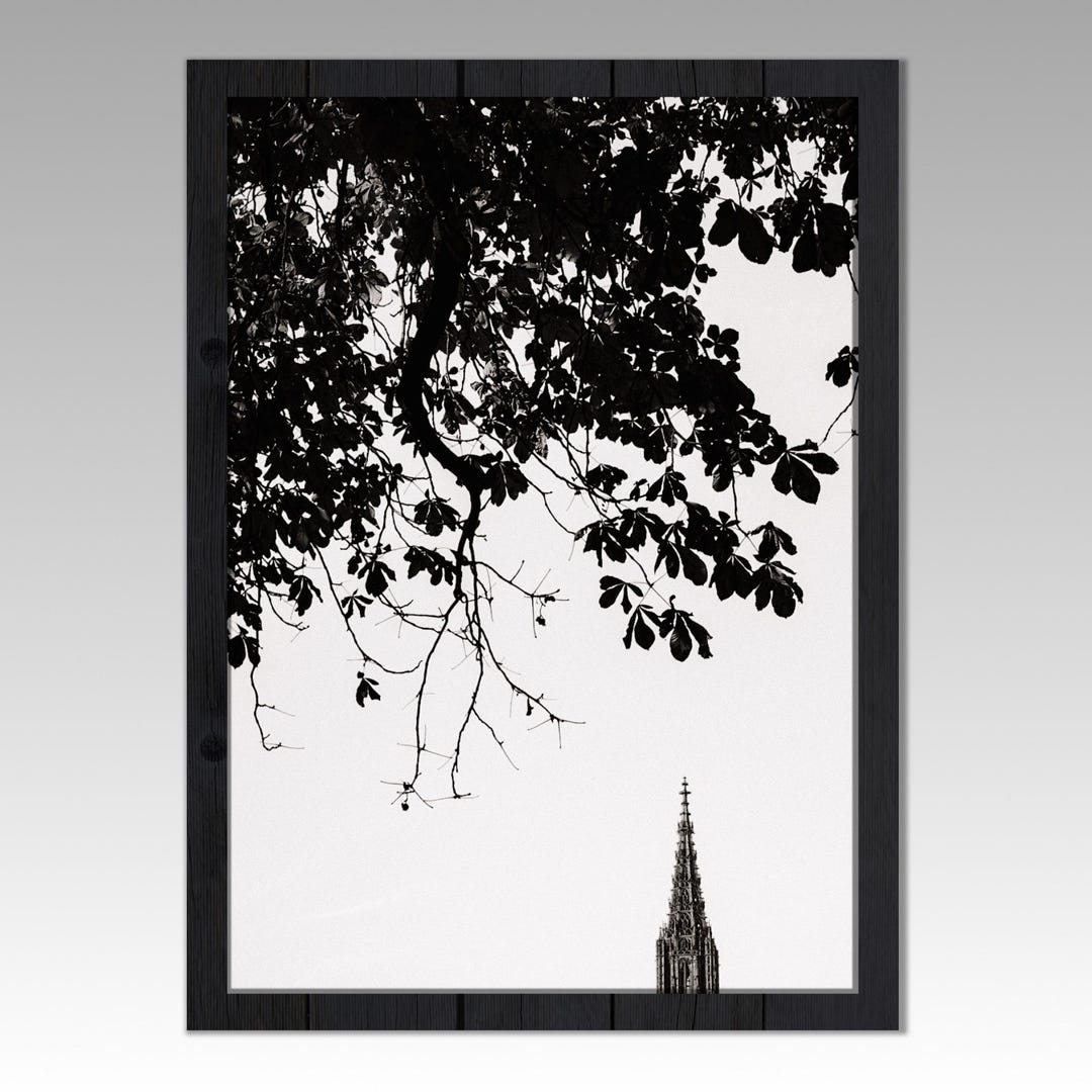 Ulm Minster and Chestnut Tree Black and White Photography Poster | Art ...
