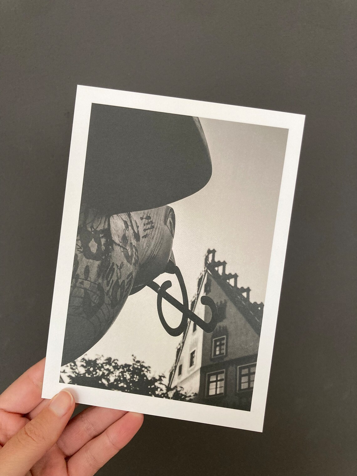 Ulm Sparrow Black and White Photography 7x5 Home Vacation Germany ...