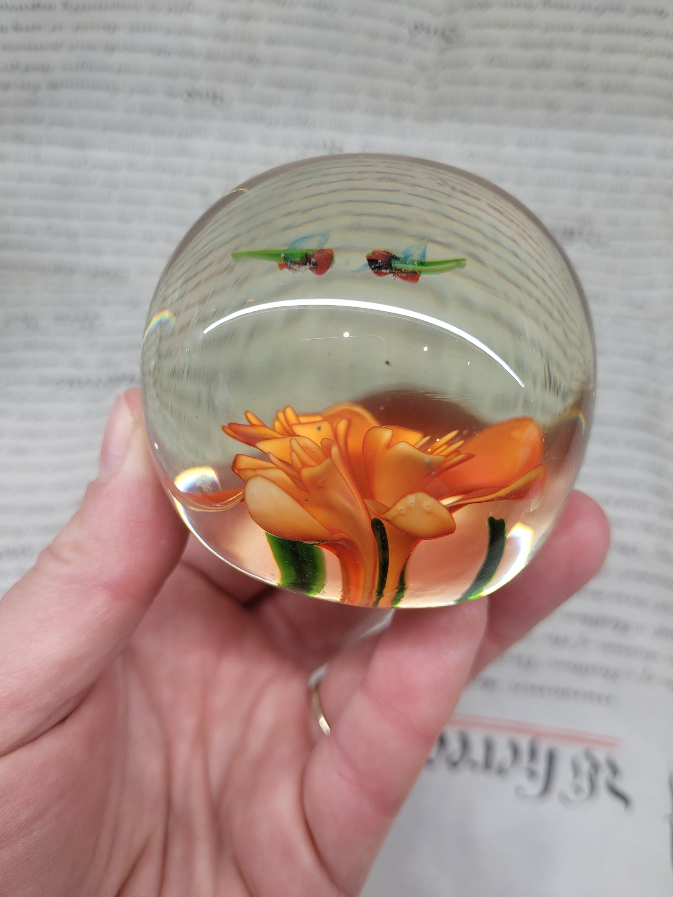 Vintage Dragonfly Paperweight, Vintage Glass, Desk Decor, Glass ...