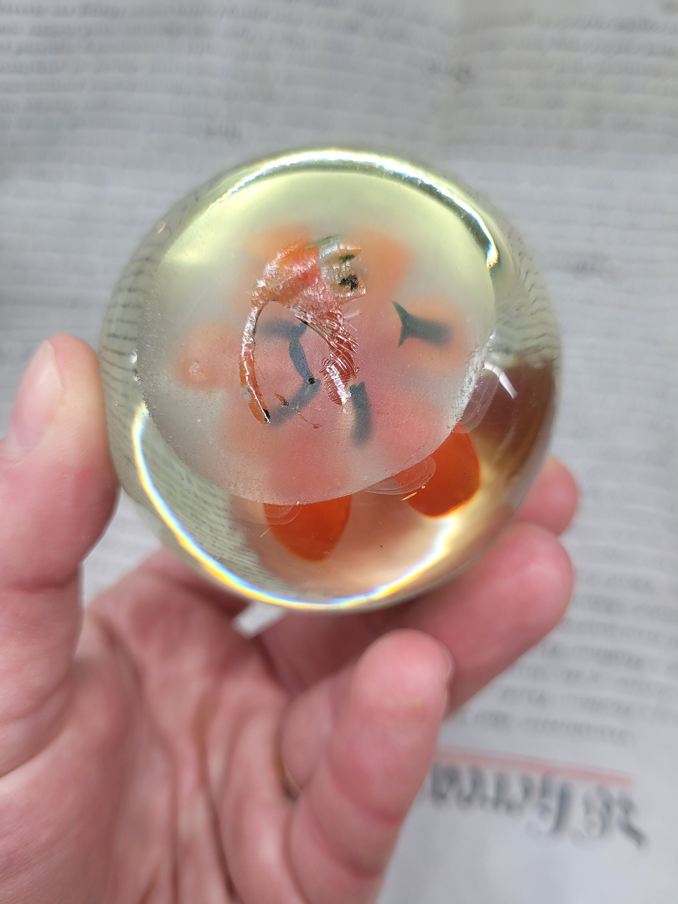 Vintage Dragonfly Paperweight, Vintage Glass, Desk Decor, Glass ...