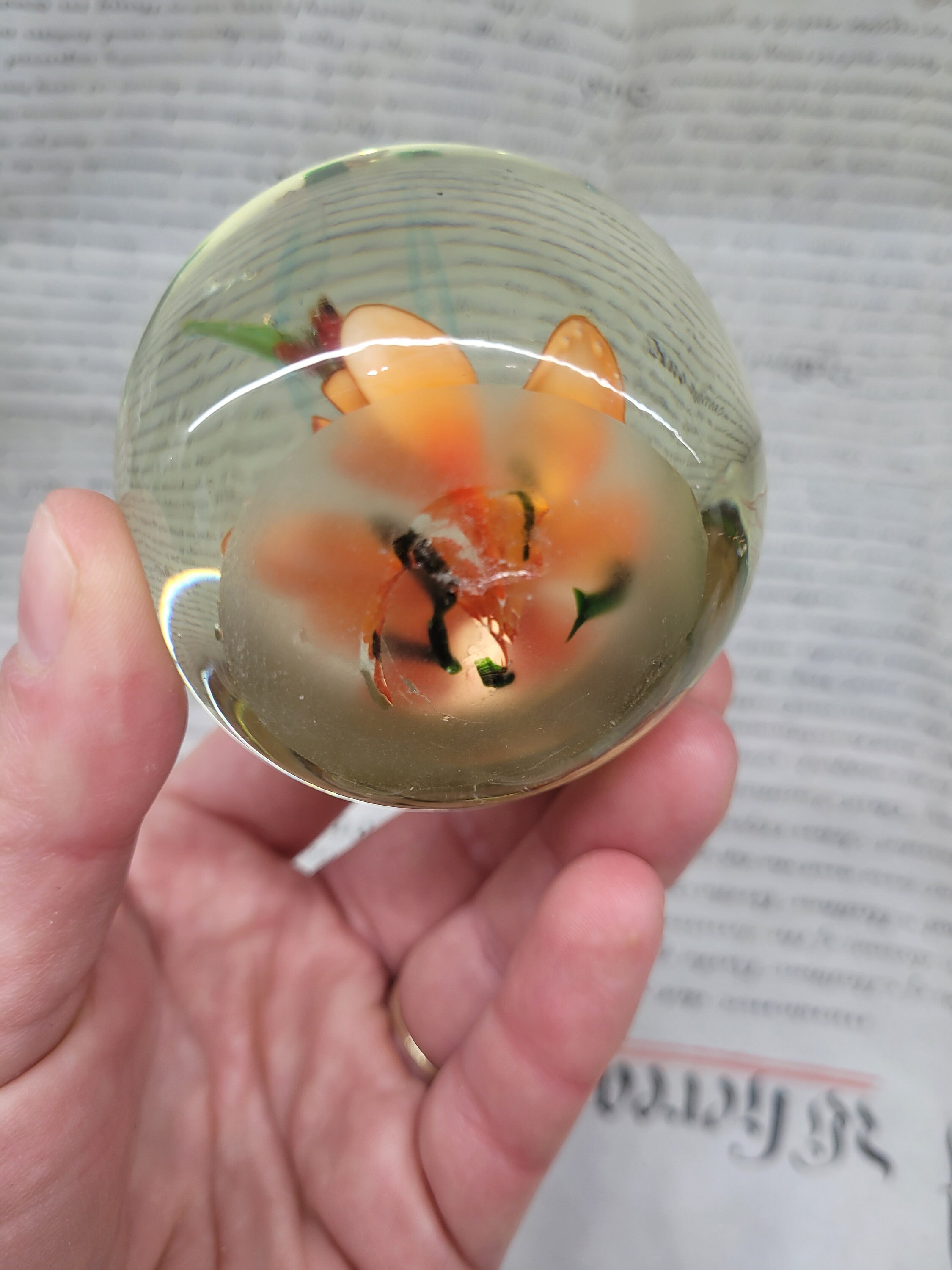 Vintage Dragonfly Paperweight, Vintage Glass, Desk Decor, Glass ...