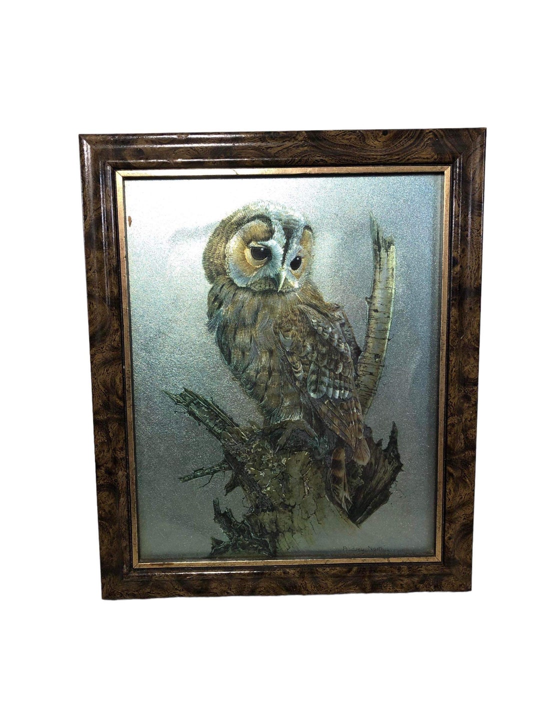 Audrey North Eule Vogel Druck Metallic Foil Art Vintage - Etsy.de