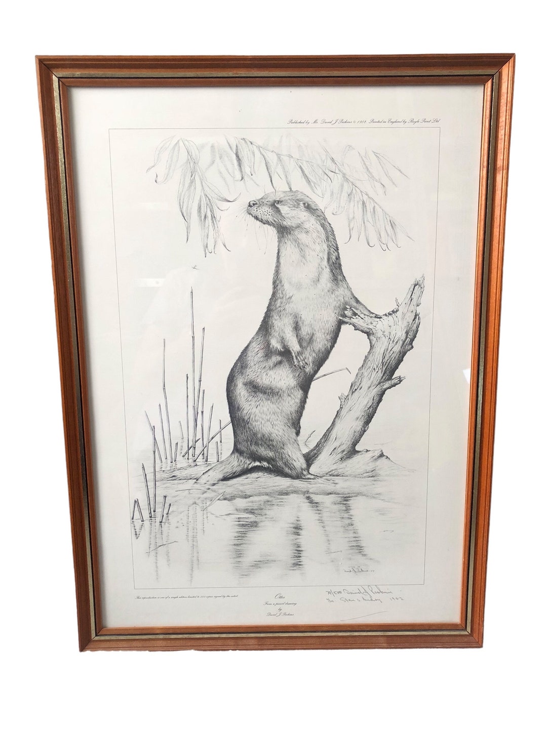 David J Perkins Otter Limited Edition 79/500 Print Signed by Artist ...