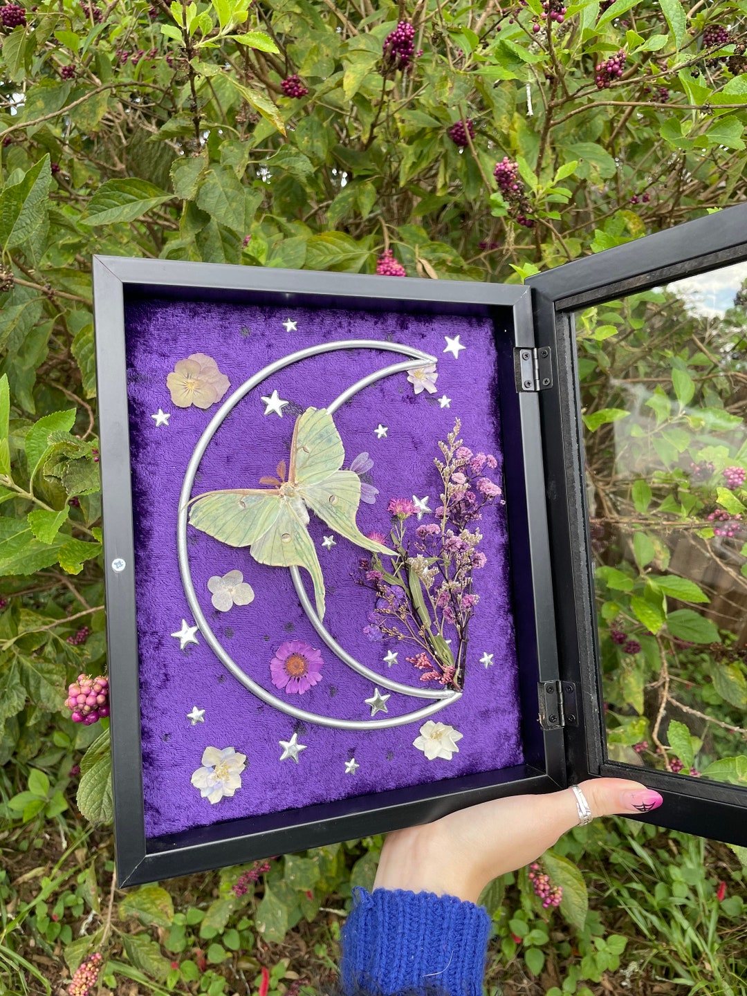 Handmade Celestial Luna Moth Shadowbox - Moth Taxidermy Gothic Decor Dried Flowers Preserved ...