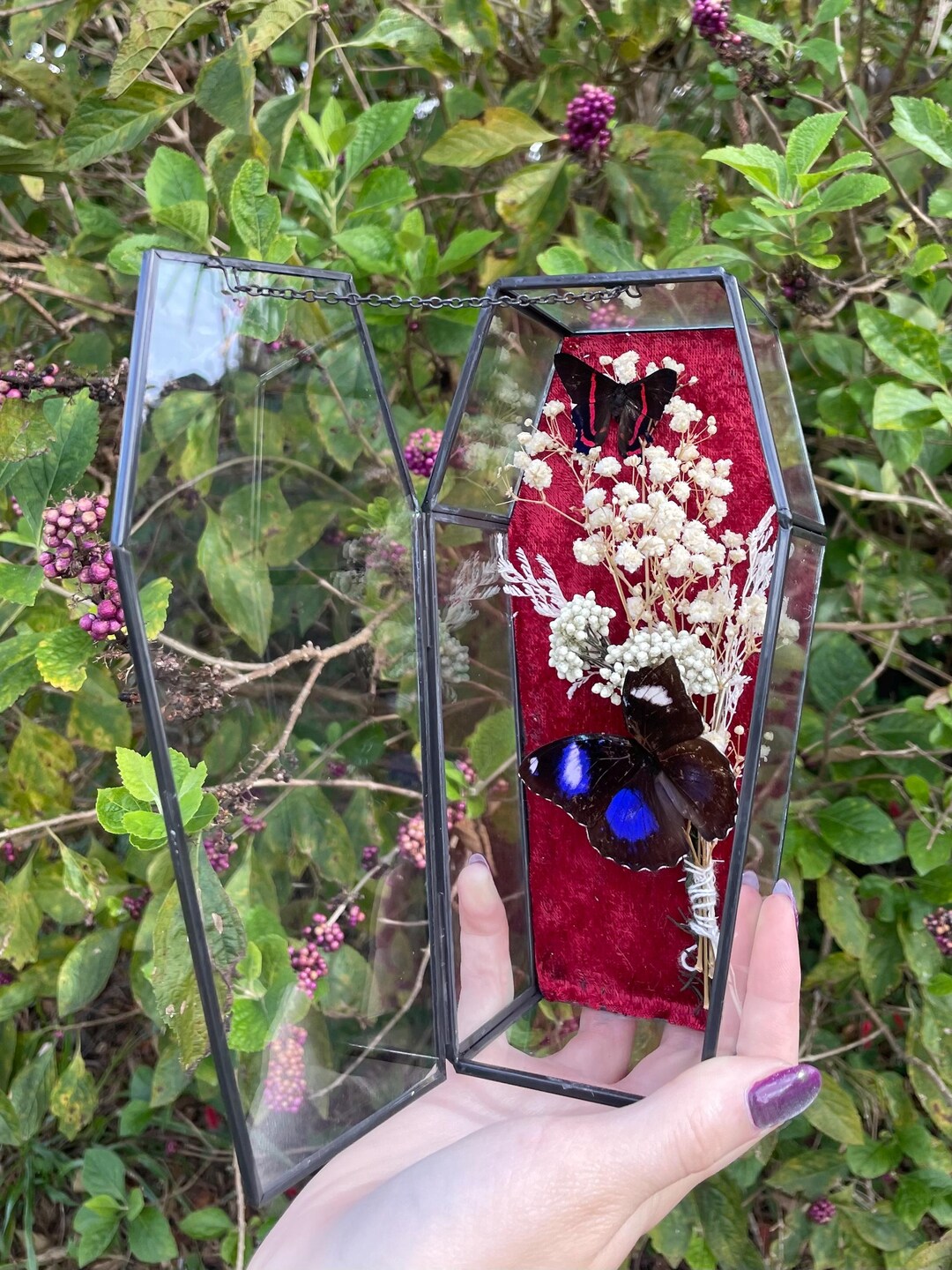Preserved Butterfly Coffin Terrarium With Dried Flowers Home Decor ...