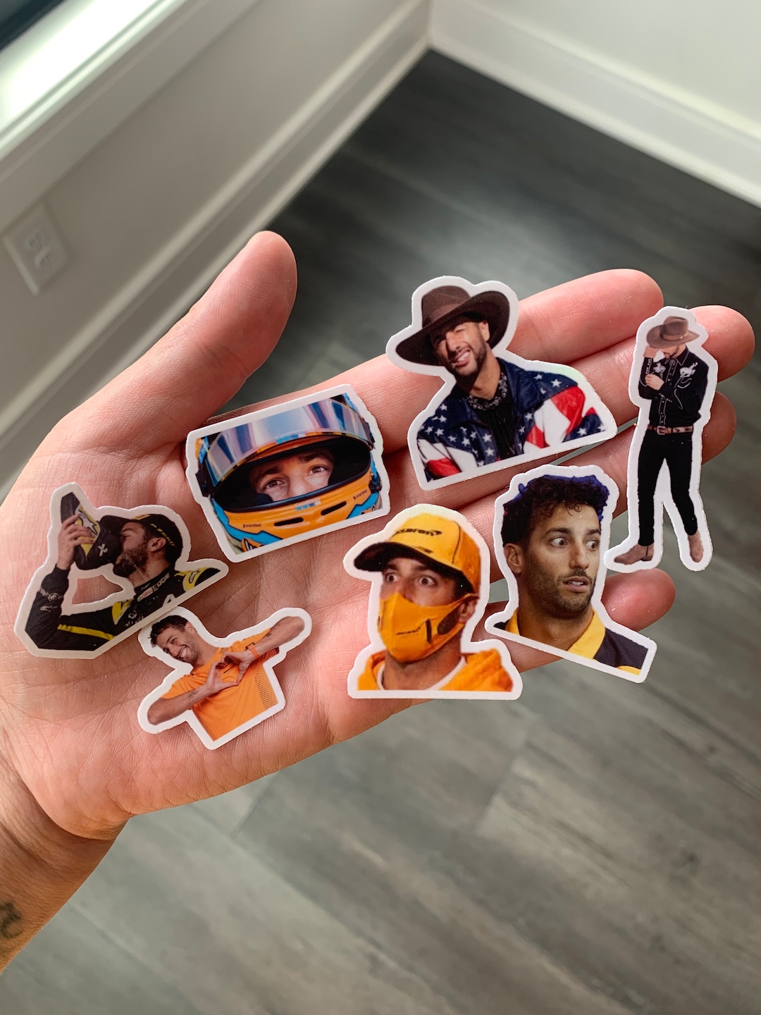Danny Ric Meme Sticker Pack - Etsy