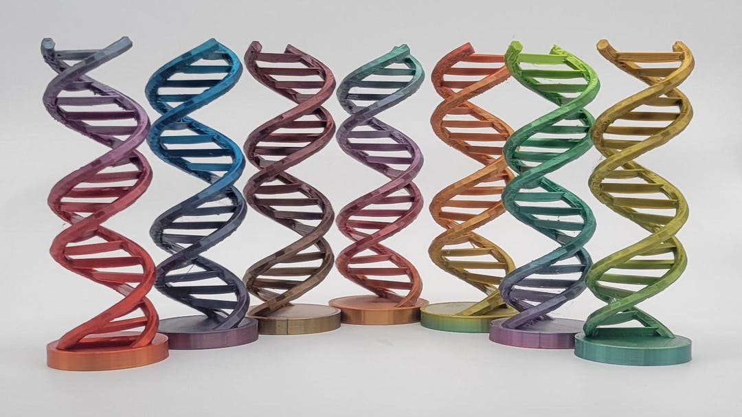3D Printed DNA Pen Holder With/out Magnet - Etsy