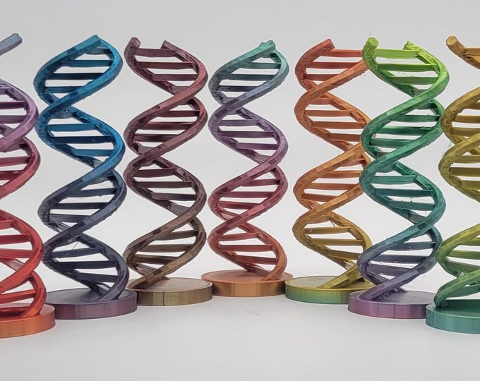 3D Printed DNA Pen Holder With/out Magnet - Etsy