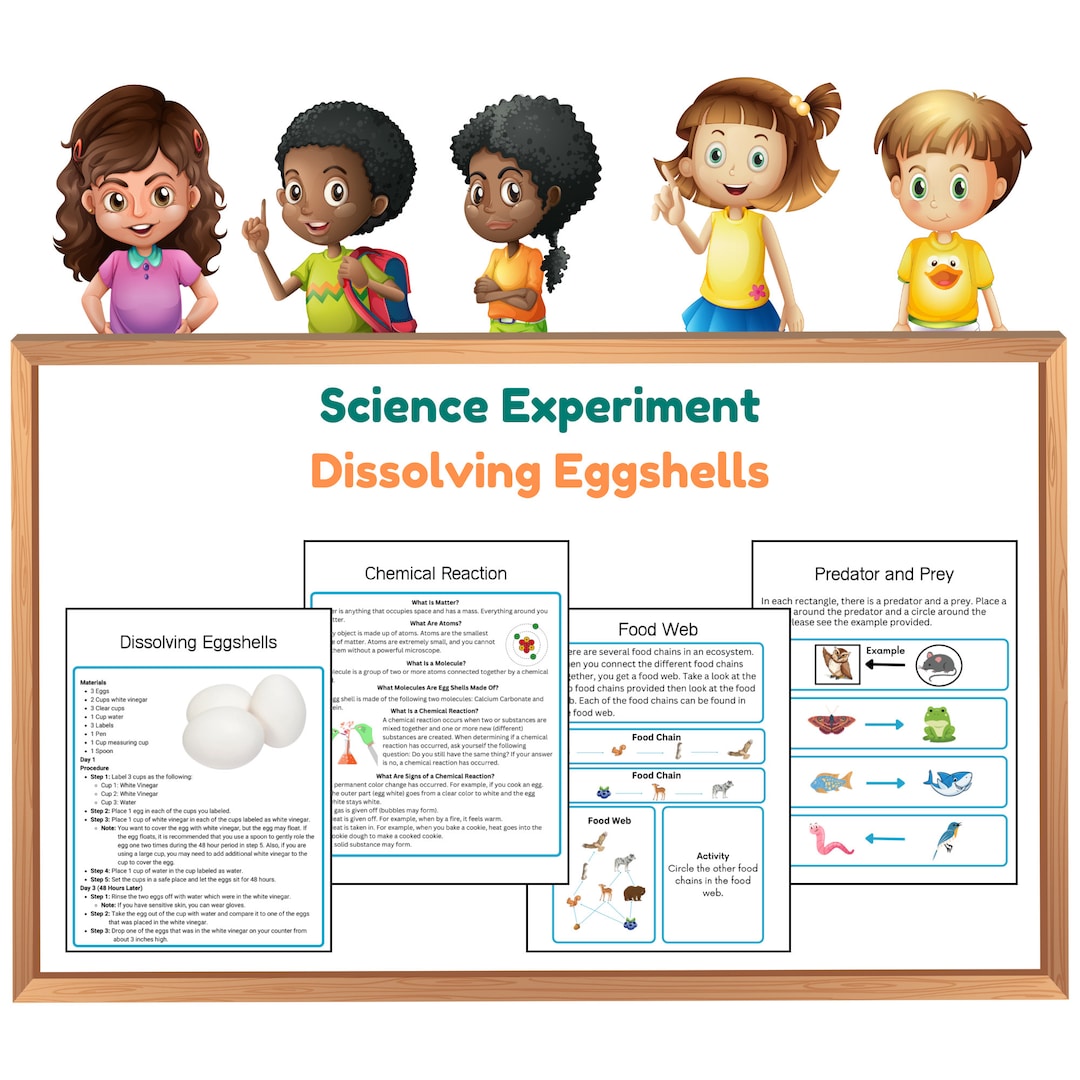 Science Experiment: Dissolving Eggshells | Fun Kids Activity | Chemical ...