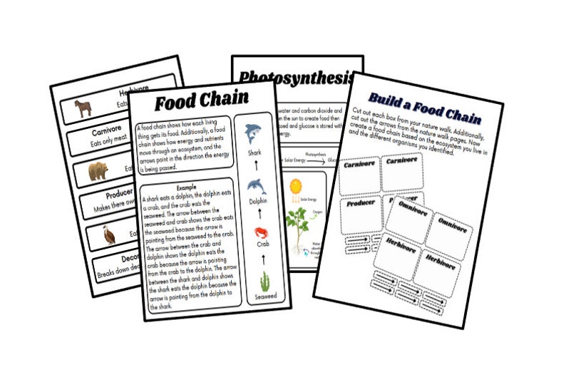 Unit Study: Ecosystems | Kindergarten Science | Science for Kids ...