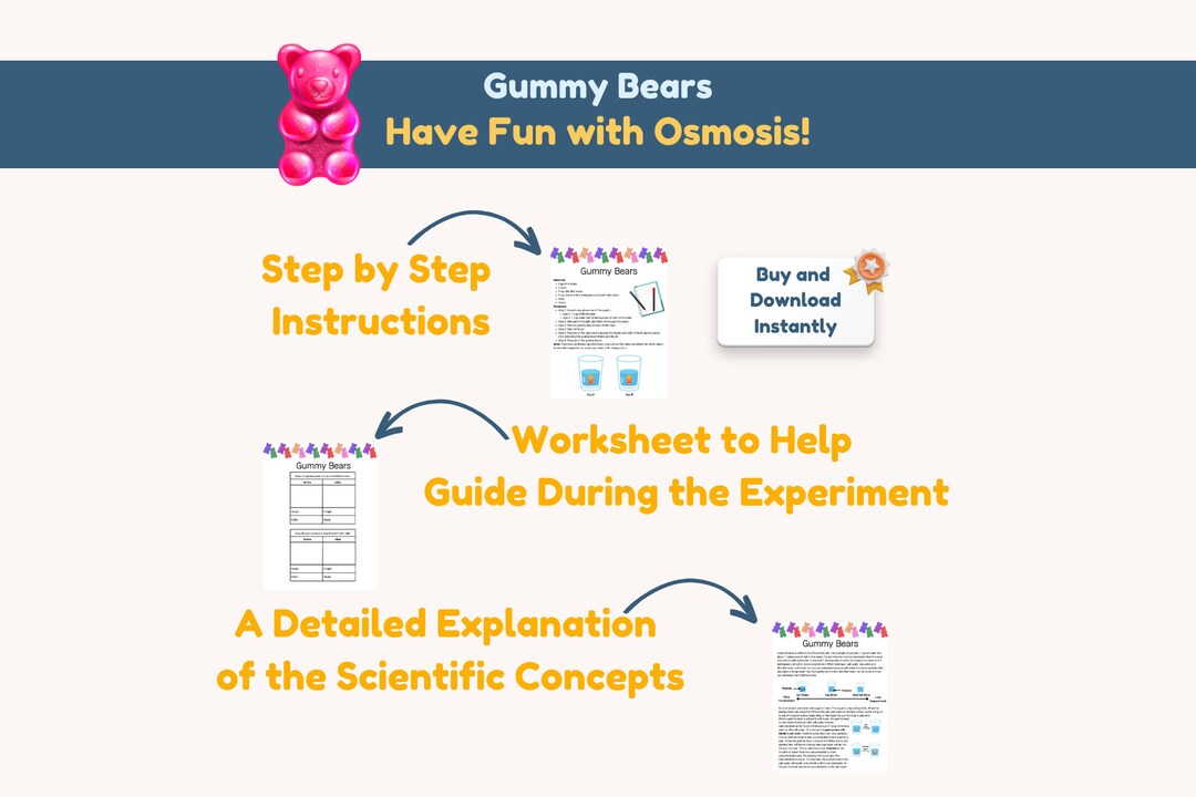 Science Experiment: Gummy Bears in Liquids Osmosis for - Etsy