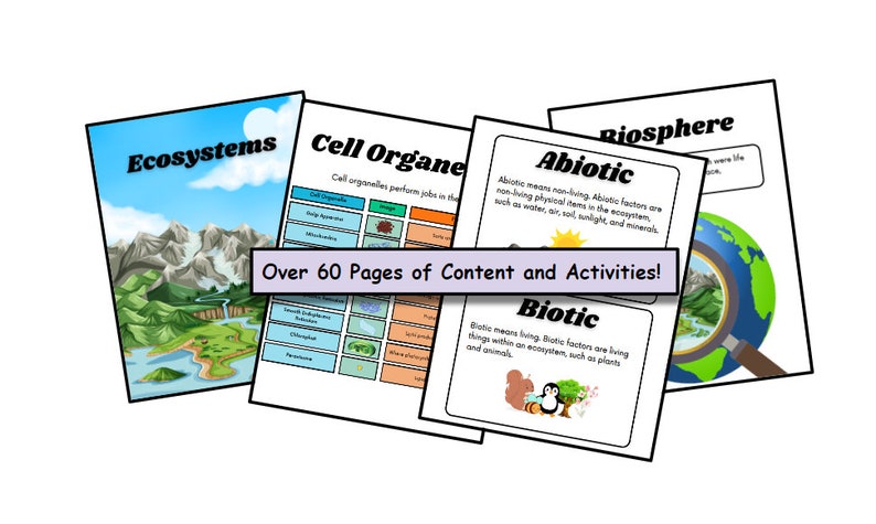 Unit Study: Ecosystems | Kindergarten Science | Science for Kids ...