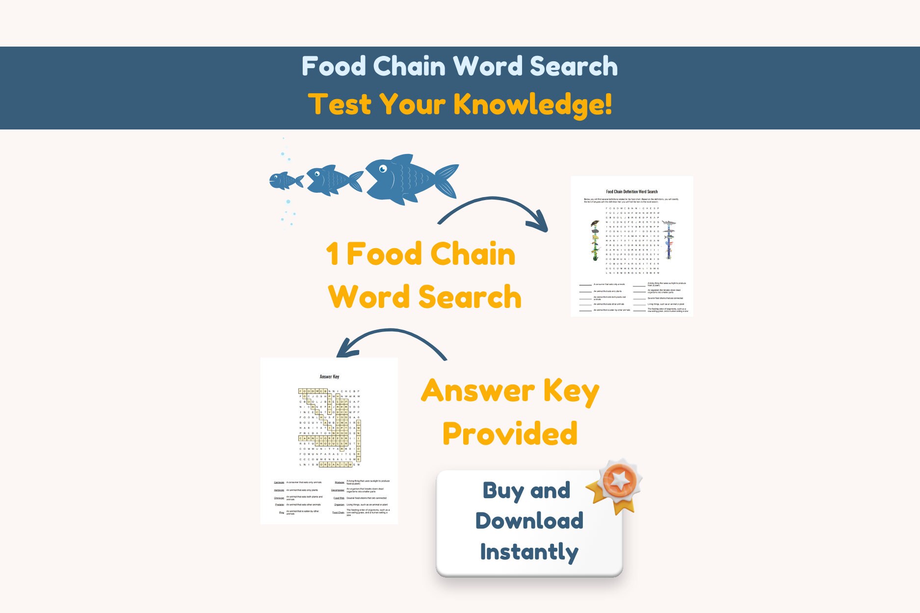 Science Worksheet: Food Chain Learners Elementary Science - Etsy