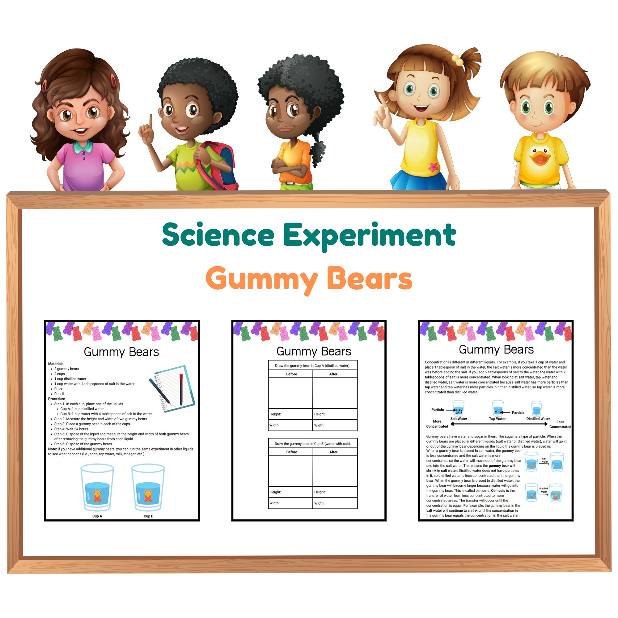 Science Experiment: Gummy Bears in Liquids| Osmosis for Younger ...