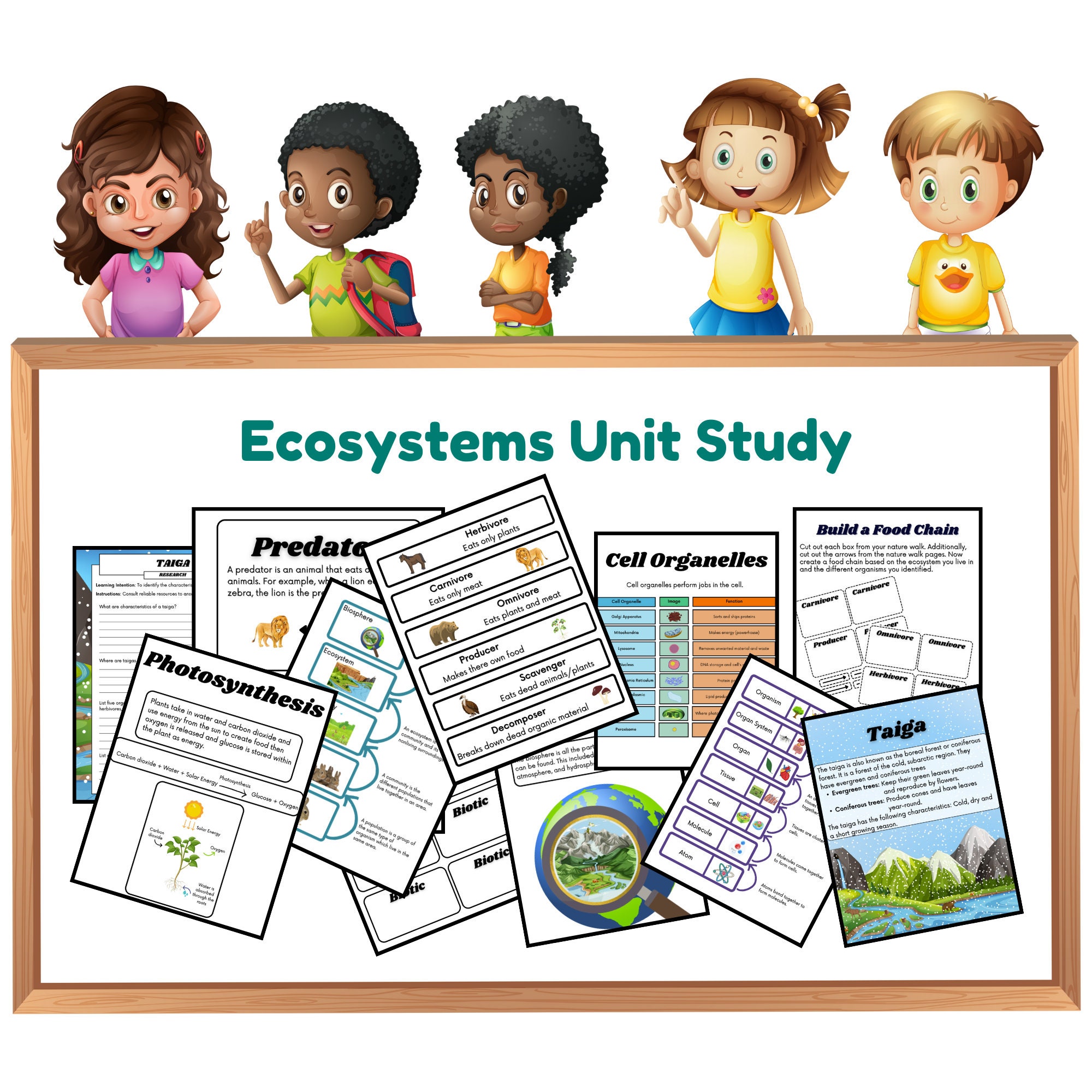 Unit Study: Ecosystems | Kindergarten Science | Science for Kids ...