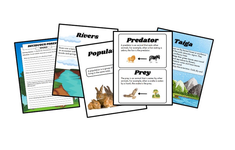 Unit Study: Ecosystems | Kindergarten Science | Science for Kids ...