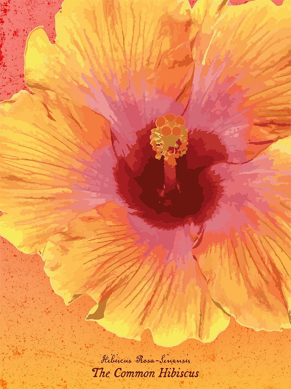 Hibiscus Flower Poster Digital Download - Etsy