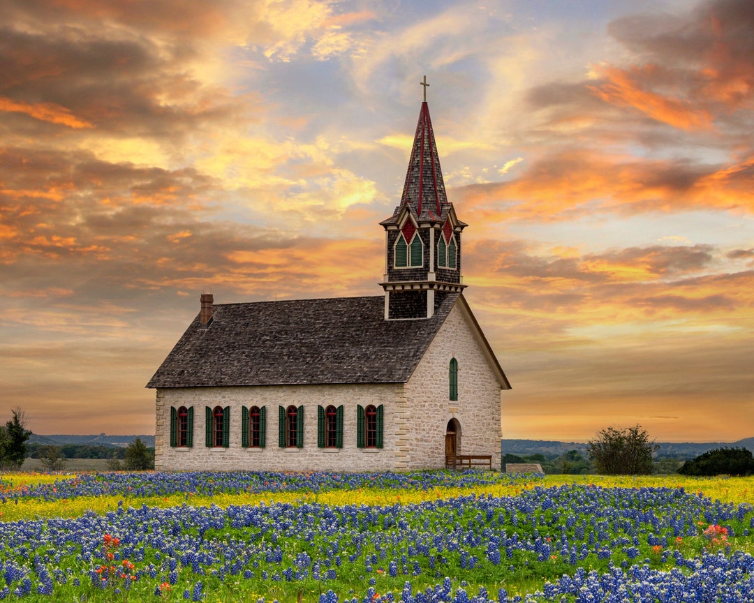 Texas Bluebonnet Field, Saint Olaf Church Photo Print, Metal Wall Art ...
