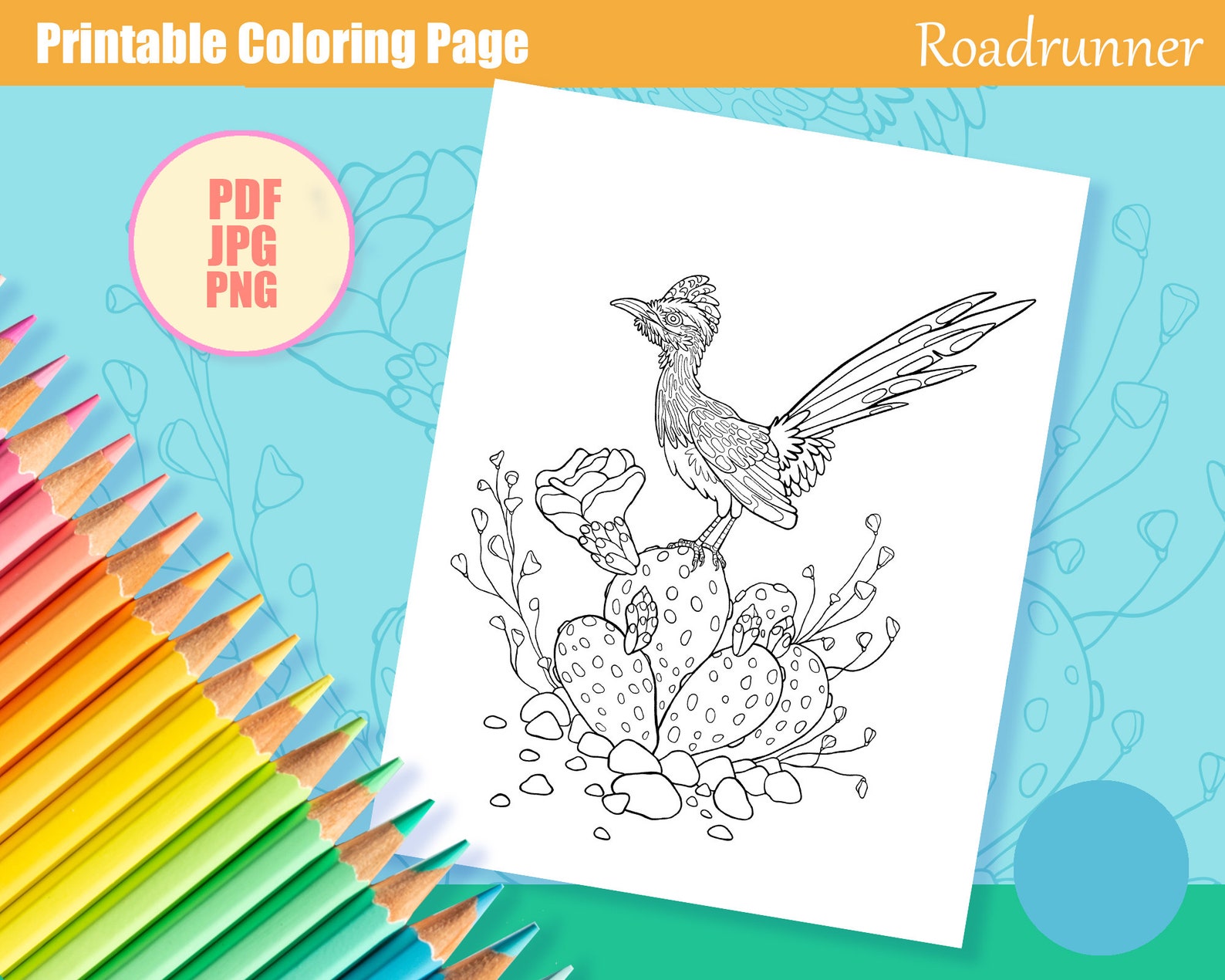 Native Animals of America Coloring ROADRUNNER Coloring | Etsy