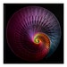 Fibonacci Spiral String Art Mandala | Geometry Artwork | Home, Office ...