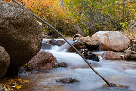 Digital Prints Fall leaves water stream nature photo digital download ...