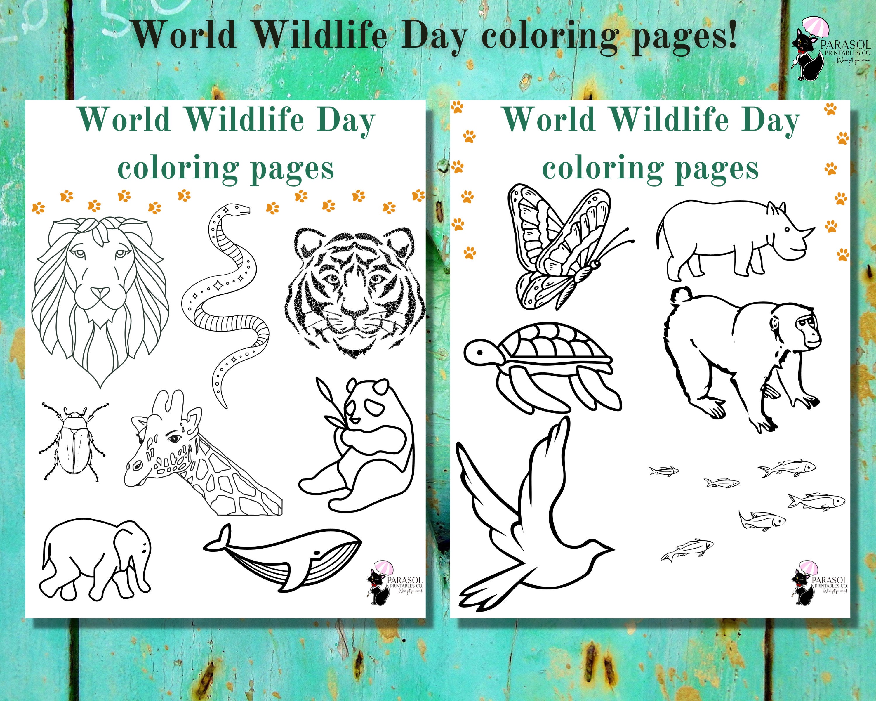 Cute World Wildlife Day Printable Coloring Pages Editable in Canva - Etsy