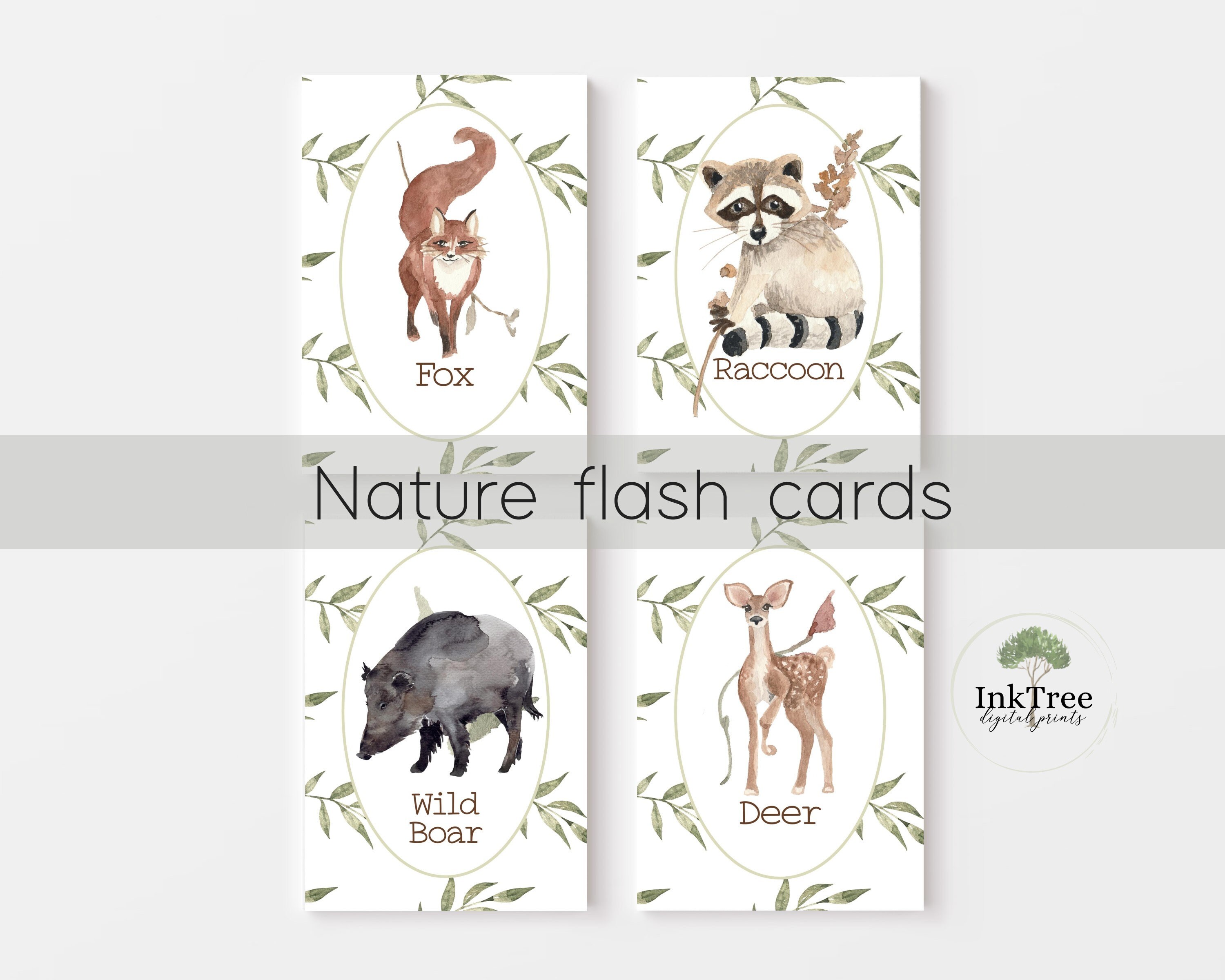 Nature Flashcard Printables, Animal Flashcard Printables, Educational ...