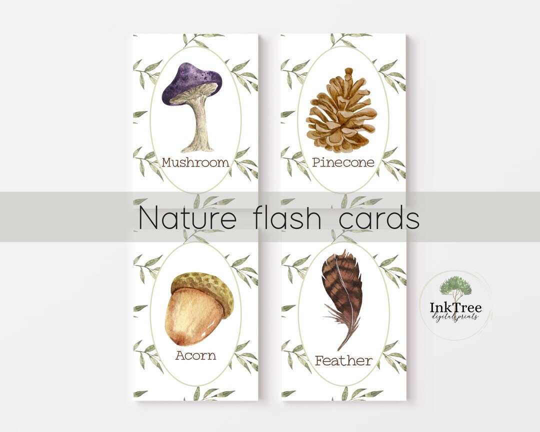 Nature Flashcard Printables, Animal Flash Card Printables, Educational ...