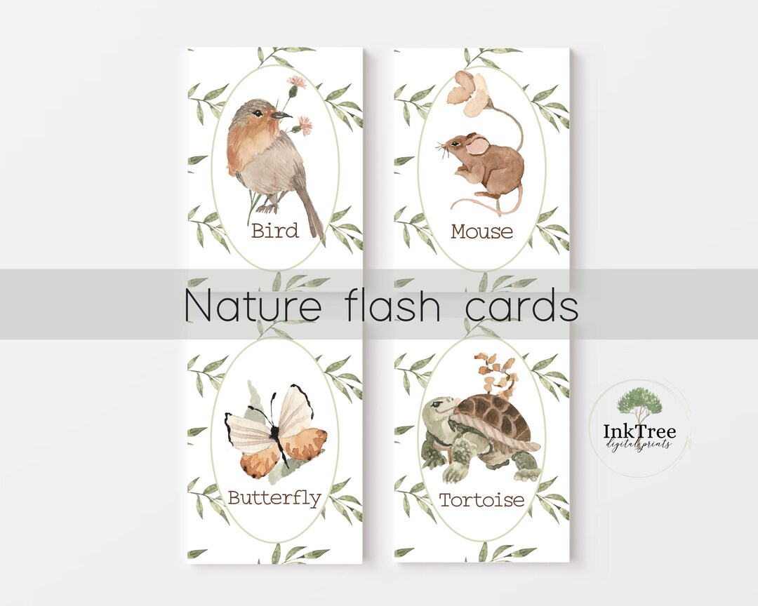Nature Flashcard Printables, Animal Flashcard Printables, Educational ...