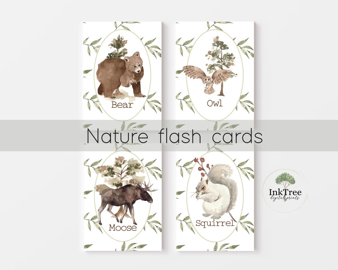 Nature Flashcard Printables, Animal Flashcard Printables, Educational ...