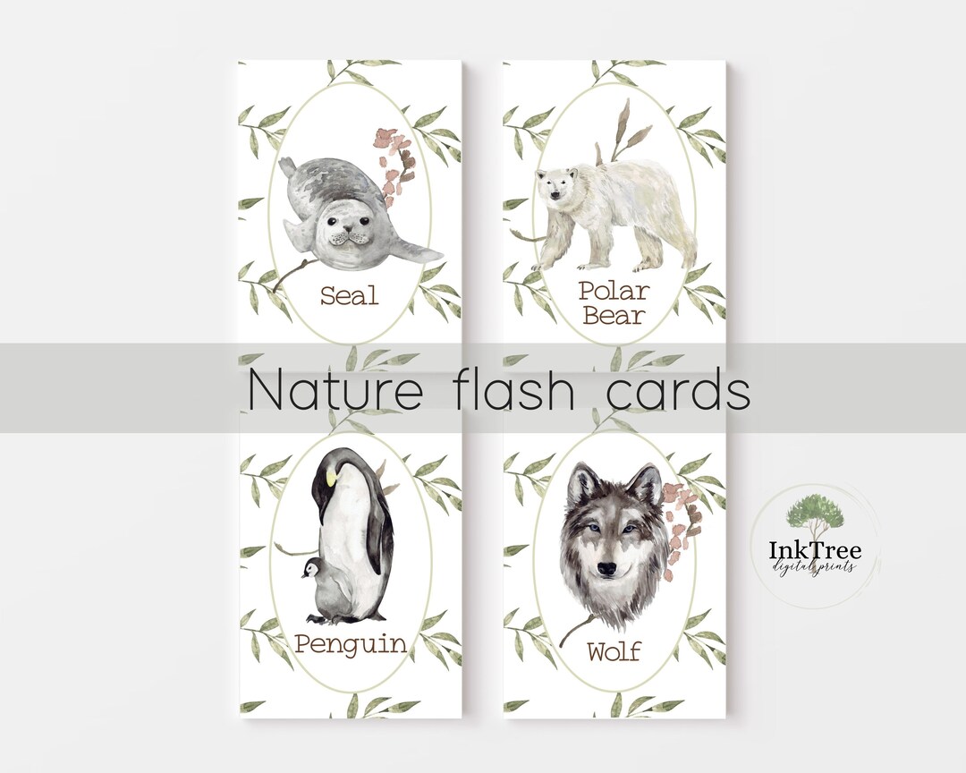 Nature Flashcard Printables, Animal Flash Card Printables, Educational ...