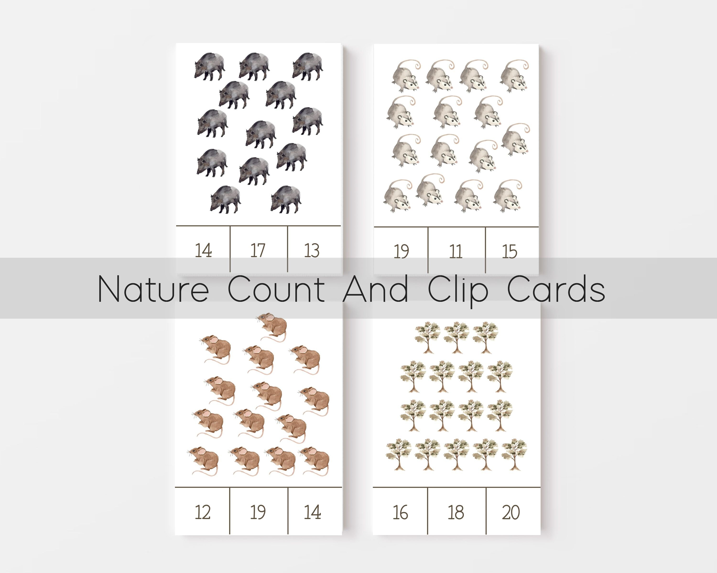 Nature Count and Clip Card 1-20 Printable's, Clothespin Number Cards ...