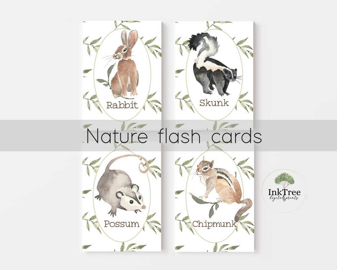 Nature Flashcard Printables, Animal Flashcard Printables, Educational ...