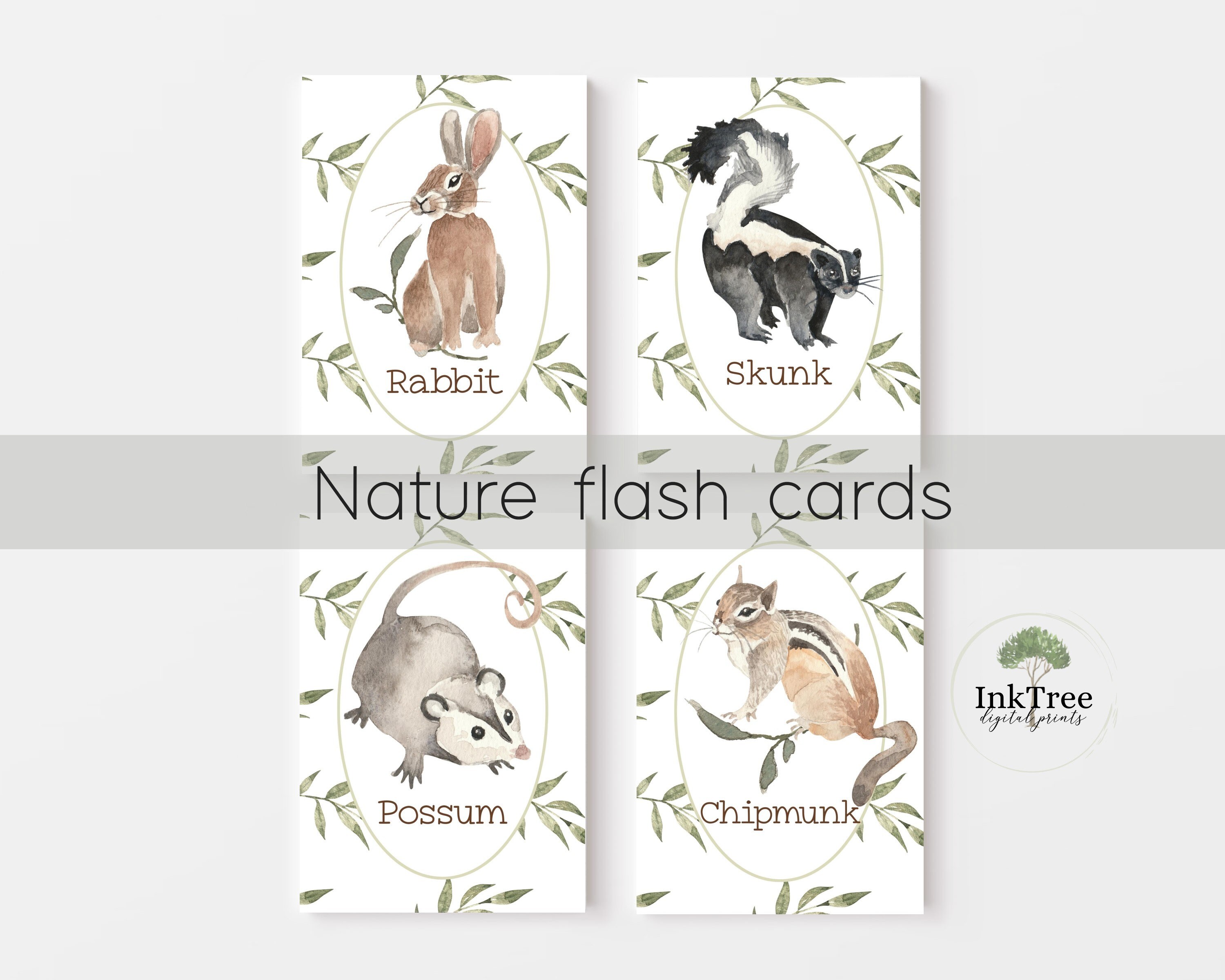 Nature Flashcard Printables, Animal Flashcard Printables, Educational ...