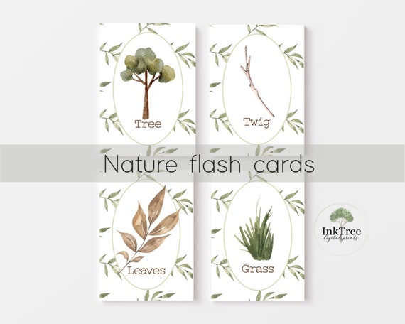 Nature Flashcard Printables Animal Flash Card Printables - Etsy