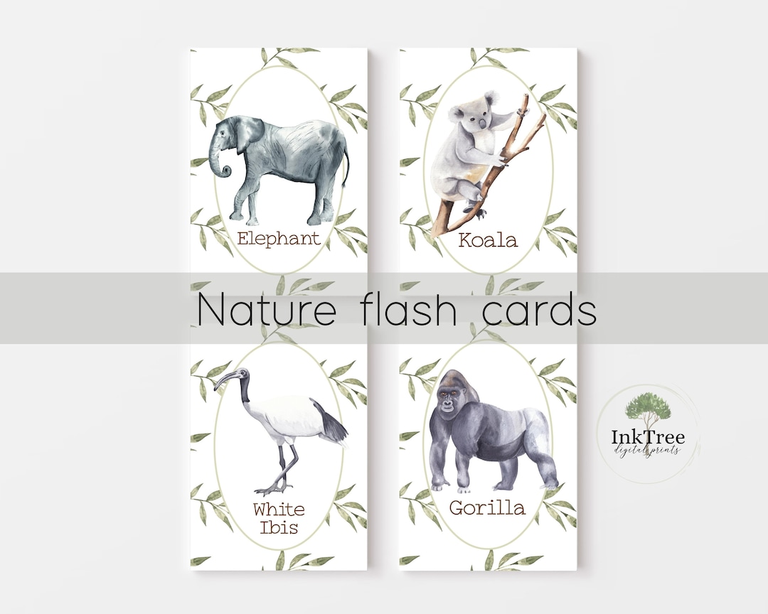 Nature Flashcard Printables, Animal Flash Card Printables, Educational ...