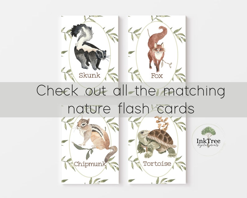 Nature Flash Card Alphabet Printable, Animal Flash Card Pintable's ...
