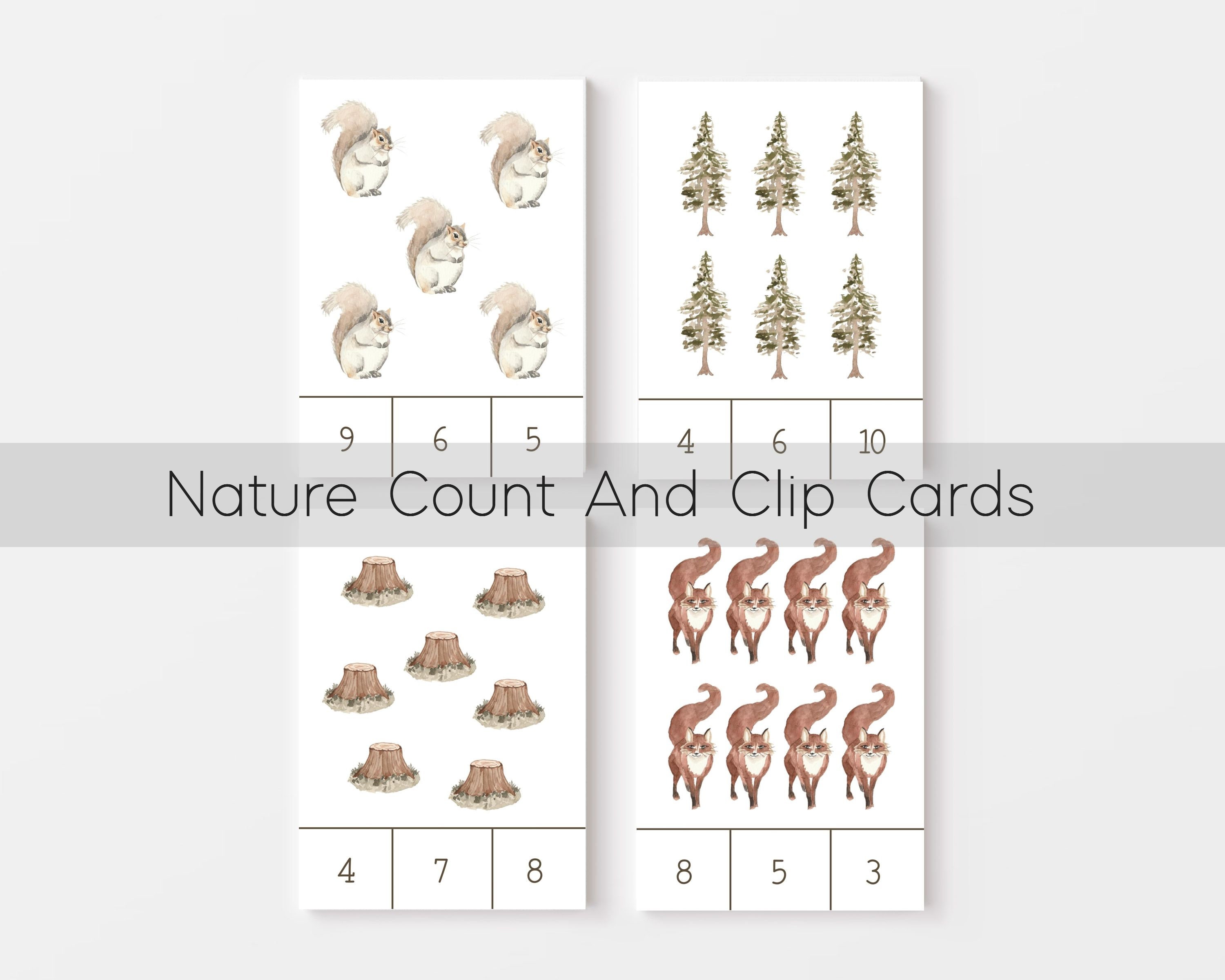 Nature Count and Clip Card 1-20 Printable's, Clothespin Number Cards ...