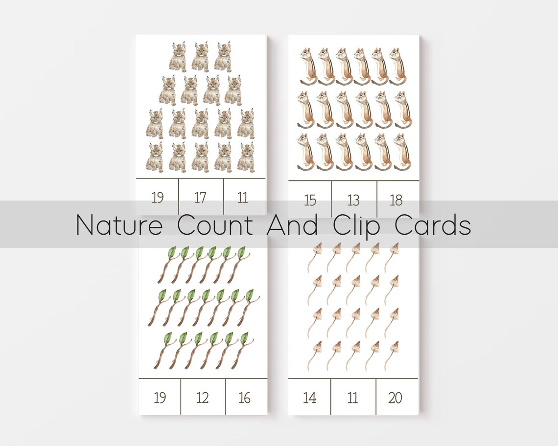 Nature Count and Clip Card 1-20 Printable's, Clothespin Number Cards ...