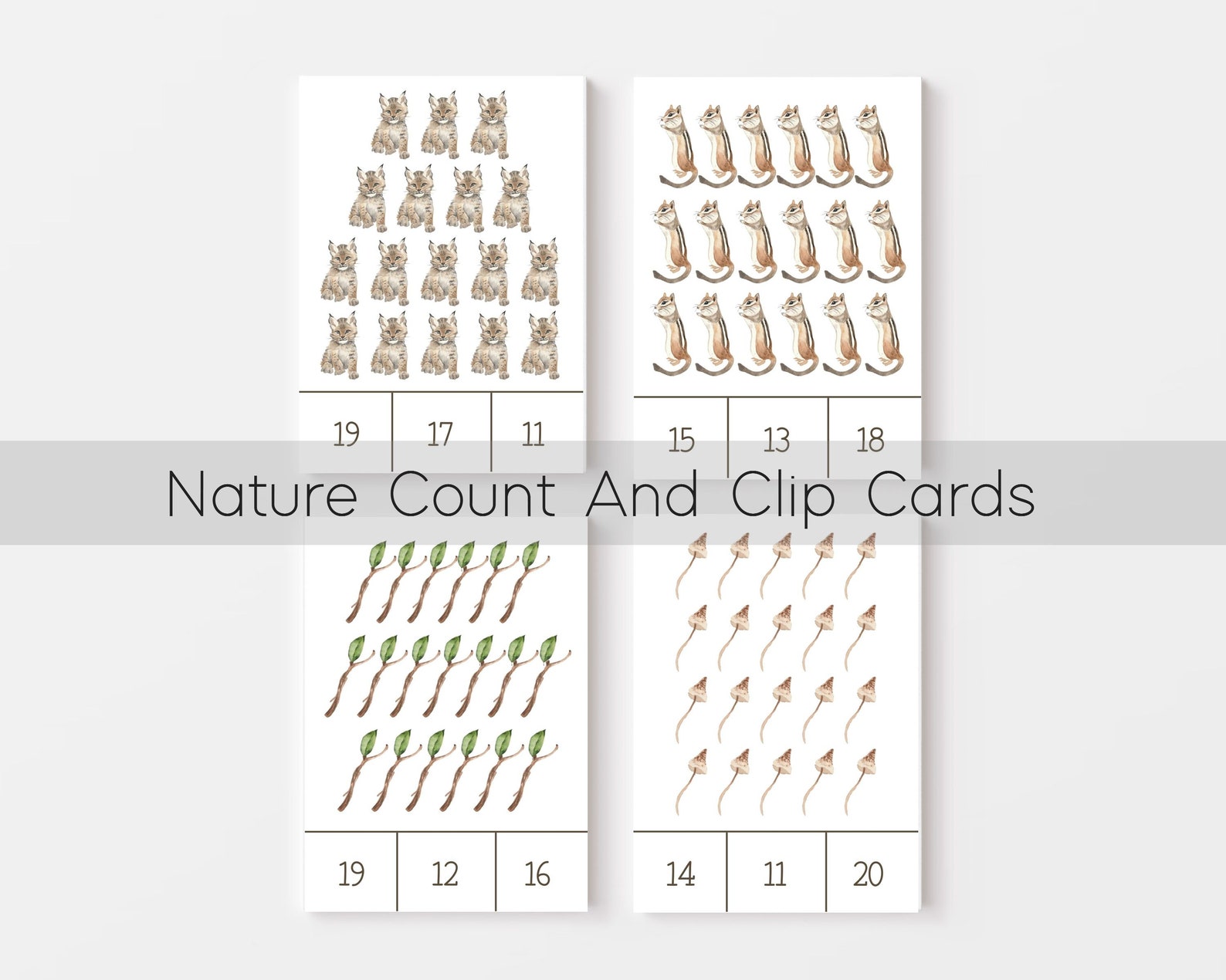 Nature Count and Clip Card 1-20 Printable's, Clothespin Number Cards ...