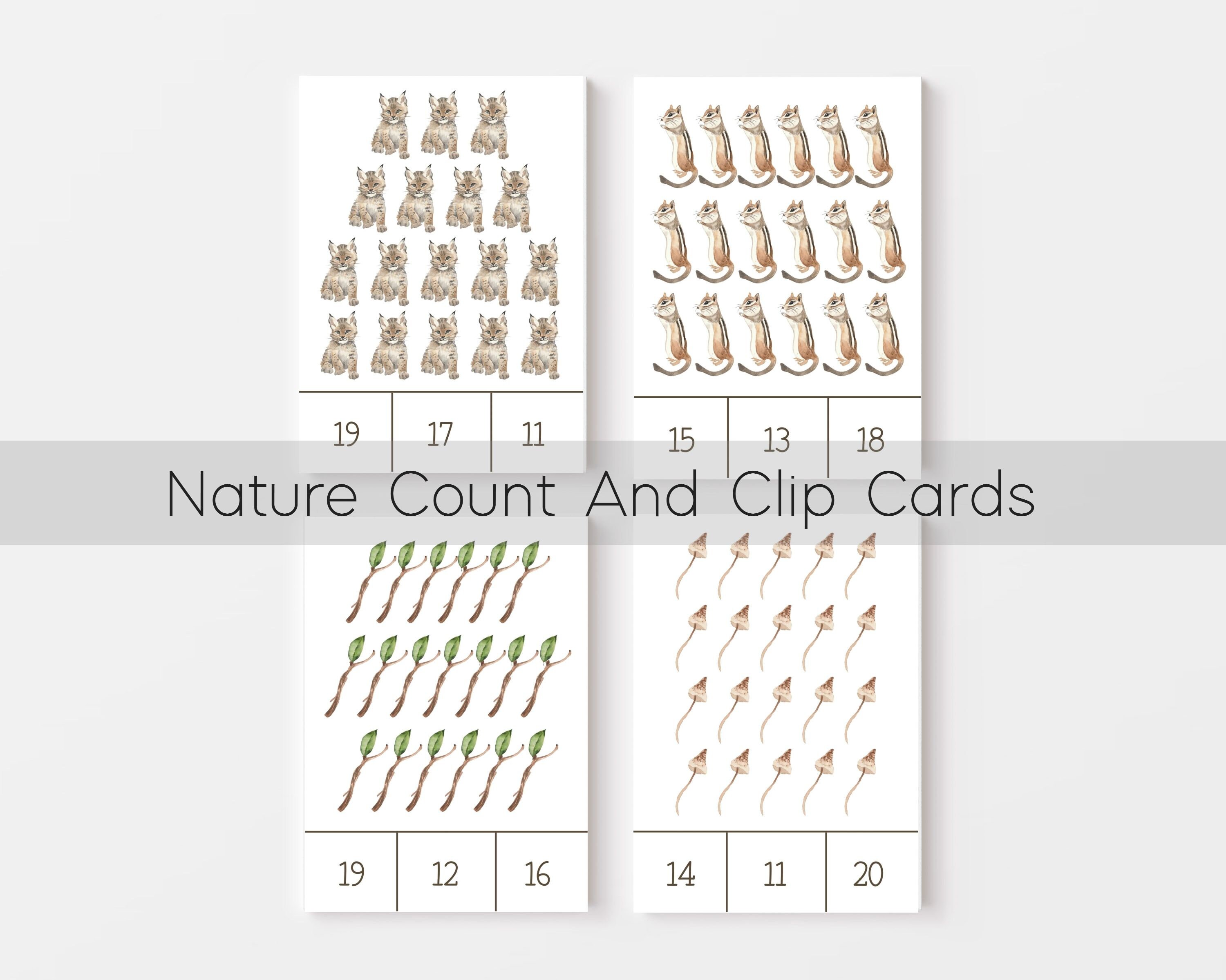 Nature Count and Clip Card 1-20 Printable's, Clothespin Number Cards ...