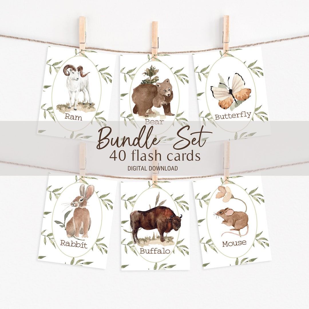 Nature Flash Card BUNDLE SET Printables, Animal Flash Card Set ...